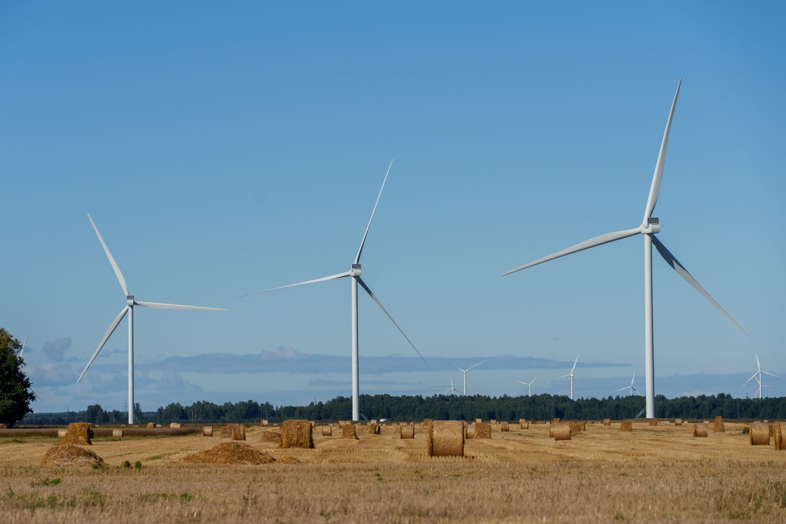 Tārgale onshore wind park inaugurated – Targale Windpark